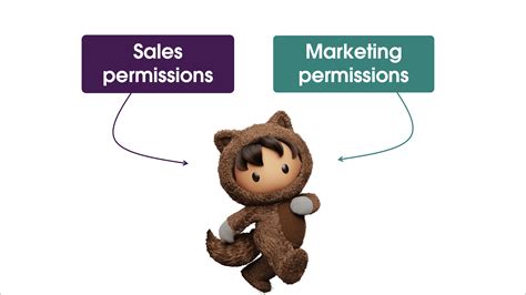 Use Permission Sets To Overcome Common Access Dilemmas Salesforce Admins
