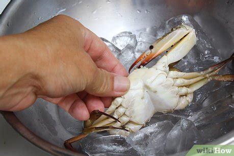 How To Prepare Soft Shell Crabs Steps With Pictures