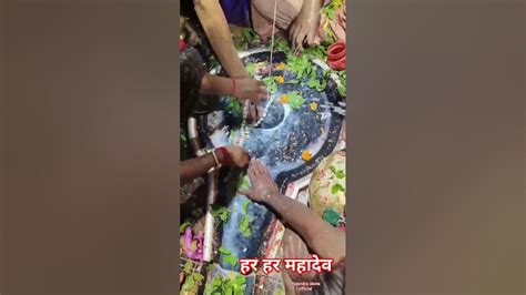 हर हर महादेव जय हो बाबा बैजनाथ धाम मनोकामना पूर्ण हो हर हर महादेव