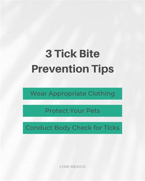 Lymemexico Lymeprevention Tickbiteprevention Lyme Mexico