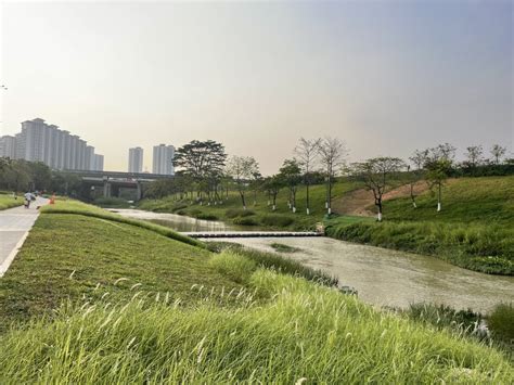 坚持绿色发展 努力构建绿美广州生态新格局腾讯新闻
