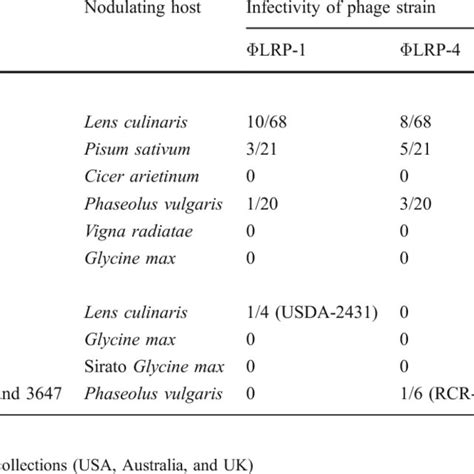 Restriction Digestion Of Phage Dna With Hind Iii M Marker λ Dna
