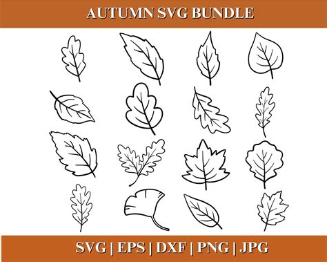 Autumn Leaves Vector Svg Fall Leaf Outline Clipart Bundle Maple Leaf