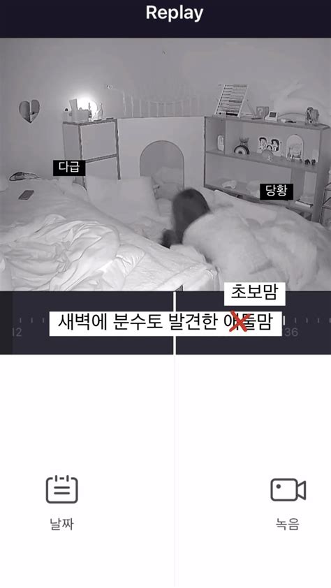 러블리민돌이 🎀 헷 🤍 매운오뎅 내 찐 술친구 거기다 짭짤이 무슨일이지… 소리주의 츄르르르르ㅡ르릅 🫶🏻 재밌었어요