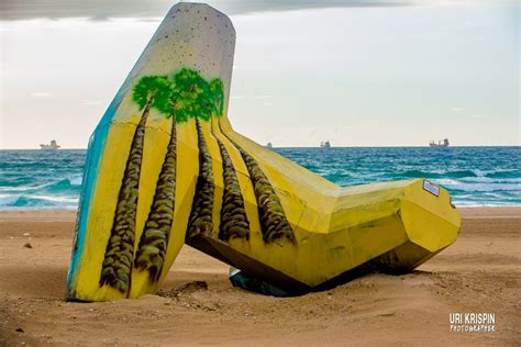 במקום בנות בבקיני קבלו ספיישל צבעוני וססגוני לאורך החוף אשדוד נט