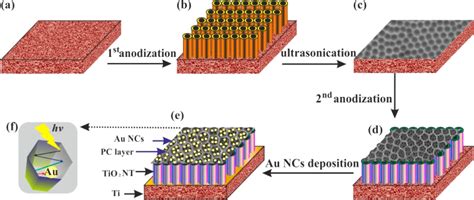 Plasmonic Gold Nanocrystals Coupled With Photonic Crystal Seamlessly On Tio2 Nanotube