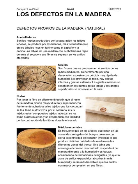 Defectos De La Madera Pdf Madera Tallo De La Planta