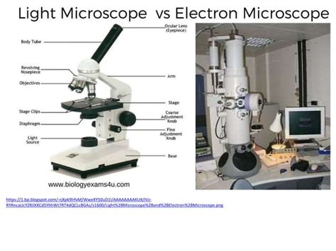 4 1 1 Microscopy Class 9 Textbook Of Biology Fbise Islamabad Pptx Biological Sciences