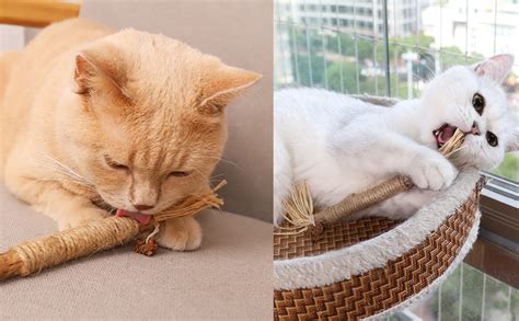 Amazon 猫 おもちゃ 3個セット 可愛い 噛むおもちゃ 爪とぎ 歯磨き かわいい 猫歯ぎしり棒 超軽量 猫遊びおもちゃ 運動不足解消