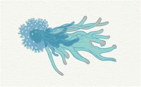 Microscopic Sea Life V Martineau Illustration