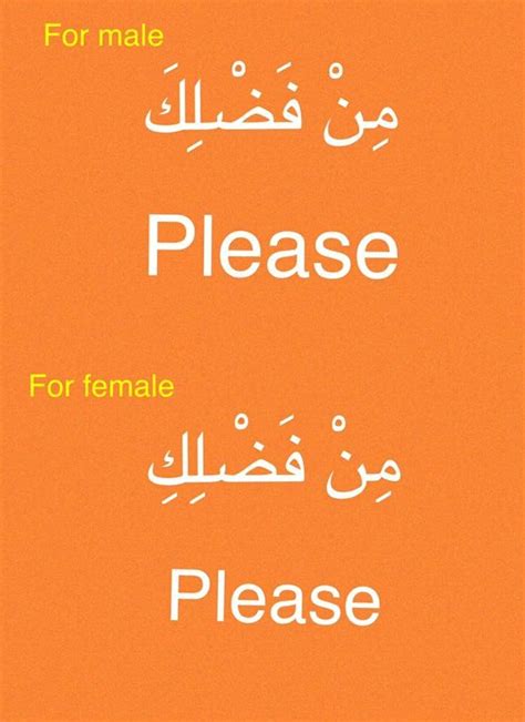 Learning Arabic Msa Fabienne Learn Arabic Language Arabic Language