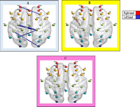 Significant Differences Of The Pli Values In Dynamic Touch Between The Download Scientific