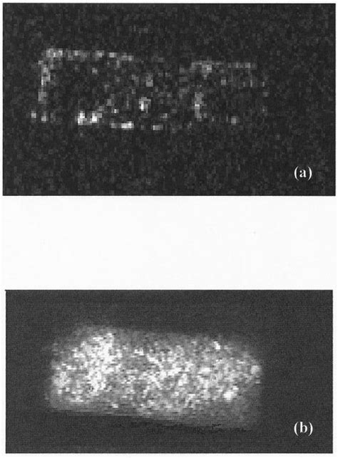 Comparison Between The MSE And The SE Images A MSE Image Obtained Download Scientific