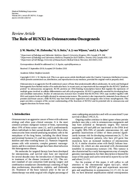 Pdf The Role Of Runx2 In Osteosarcoma Oncogenesis
