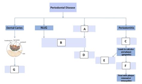 Cheat Sheet Flashcards Quizlet