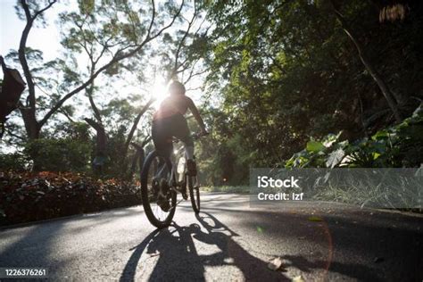 화창한 날에 공원에서 자전거 길에서 자전거를 타는 여성 건강한 생활방식에 대한 스톡 사진 및 기타 이미지 건강한 생활방식