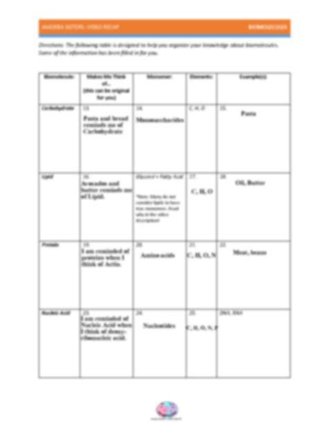 Amoeba Sisters Enzymes Worksheet