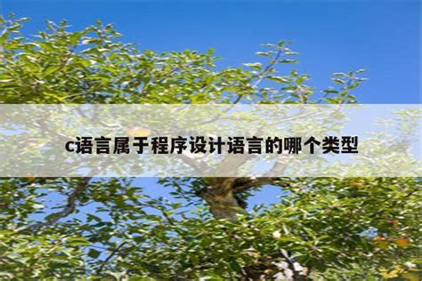 c语言属于程序设计语言的哪个类型 编程语言 proteus8软件 proteus软件