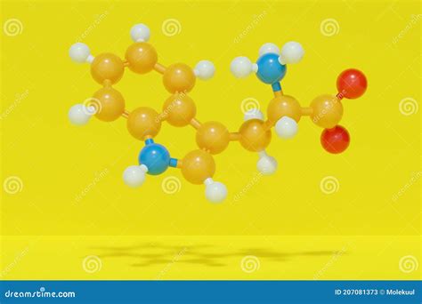 Tryptophan L Tryptophan Trp W Amino Acid Molecule 3d Rendering