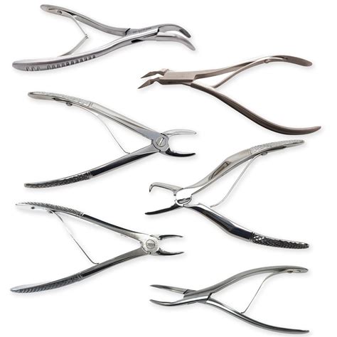 Im3 Dental Forceps Assorted Zebravet