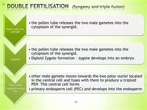 Sexual Reproduction Flowering Plantspucii Pptx Infertility