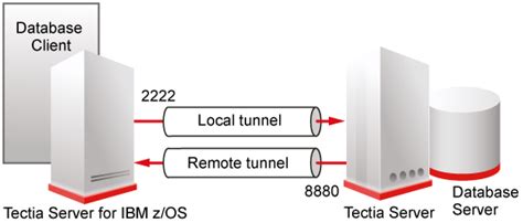 Securing Database Replication