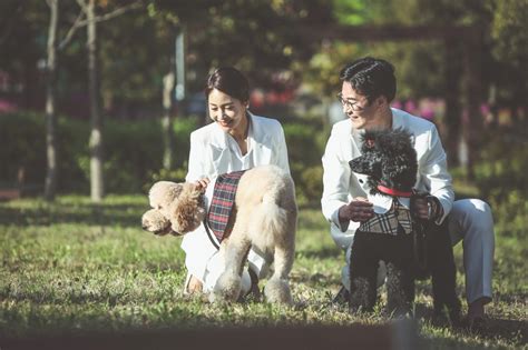 가족사진 갤러리 더홍 스튜디오 목포남악점