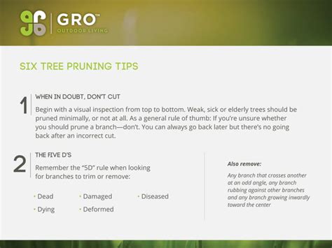 Tree Pruning Slideshow Ppt