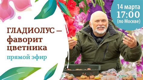 Потому что ГЛАДИОЛУС :) ! - YouTube