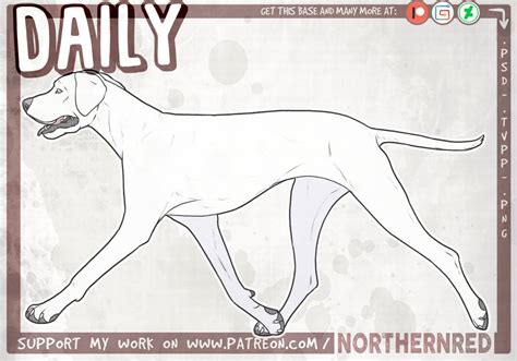 Daily Great Dane By Northernred On Deviantart