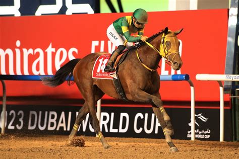 Jra Van公式 On Twitter 5連勝で世界のダートの頂点に ウシュバテソーロ ドバイワールドカップ