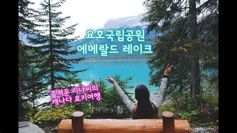 🇨🇦캐나다 로키여행 요호국립공원 에메랄드 레이크 Yoho National Park Emerald Lake Youtube