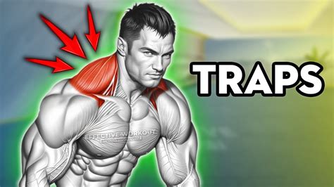 5 BEST Exercises For Bigger Traps Workout YouTube