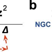 Backprop In Contrast With Neural Coding A Credit Assignment In Backprop Download Scientific
