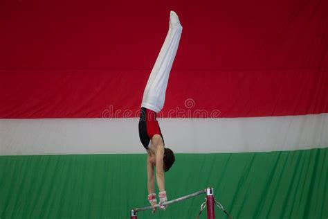 Конец Вверх прибора бара гимнаста мужской Редакционное Изображение изображение насчитывающей