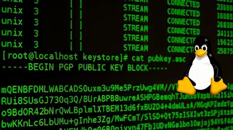 Configurar Los Permisos De Archivos Y Carpetas En Linux Una Gu A Completa
