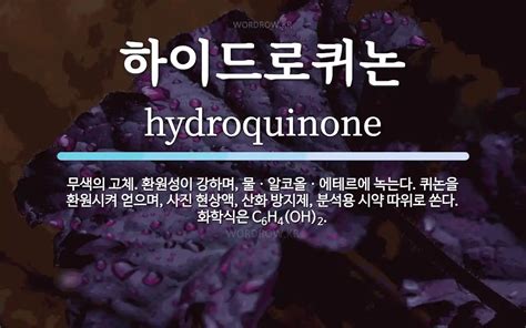 하이드로퀴논 뜻 무색의 고체 환원성이 강하며 물ㆍ알코올ㆍ에테르에 녹는다 퀴논을 환원시켜 얻으며 사진