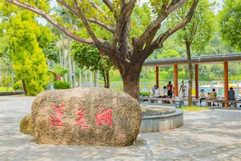 莲花山公园图片浏览 莲花山公园图片下载 酷吧图库