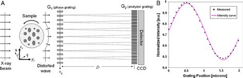 Working Principle Of The Grating Interferometer A Through The Download Scientific Diagram