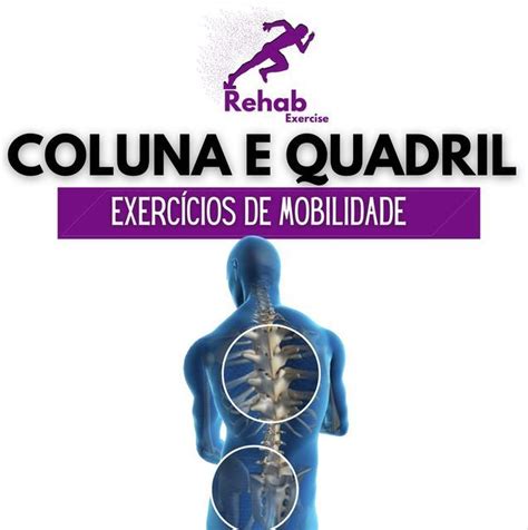 Rehabilitation and Exercises on Instagram Exercícios de Mobilidade