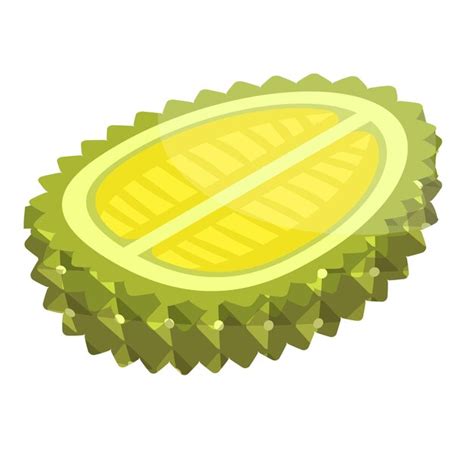 절반 두리안 아이콘 흰색 배경에 고립 된 웹 디자인을 위한 절반 두리안 벡터 아이콘의 아이소메트릭 프리미엄 벡터