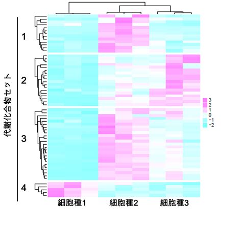 ニュース 動的な生殖ライフスパン：変動する生殖細胞の機能と次世代へのリスク