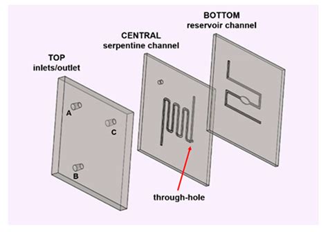 Innovative 3d Microfluidic Tools For On Chip Fluids And Particles Manipulation From Design To