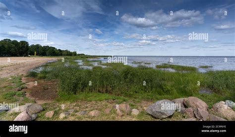 The Shores Of Lake Peipus The Largest Trans Boundary Lake In Europe