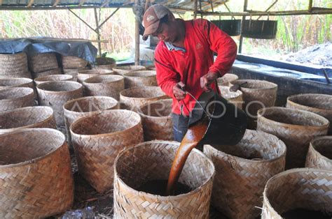 Pembuatan Gula Merah Di Kudus ANTARA Foto