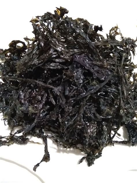 优质紫菜 散紫菜 优质碎紫菜尾巴散紫菜纯紫菜 阿里巴巴