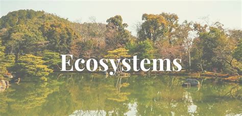 Ecosystem Structure Functions Components RajRAS RAS Exam Preparation