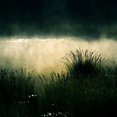 Dramatic Artistic Scenery Of A Sunrise Over Flooded Wetlands In