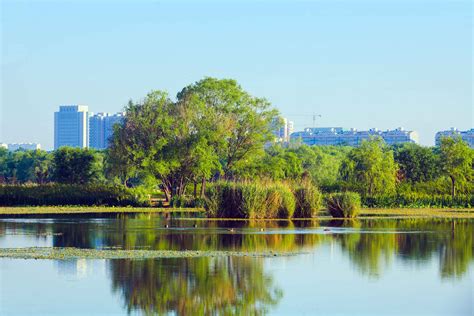 山东安丘汶河湿地景观生态修复与提升 湿地与滨水景观 首家园林设计上市公司