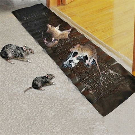 Tapis collant magique invisible et transparent pour tuer les rats et les souris Pièges à Souris